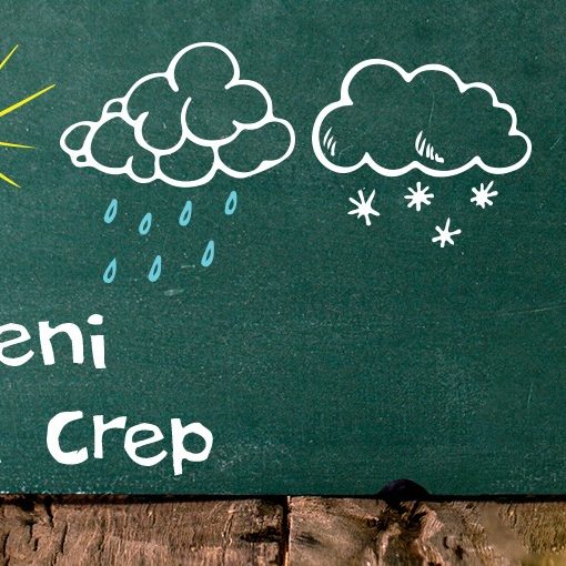 Tondach crep Biberfalc - Wienerberger Srbija